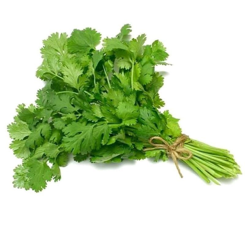 Comprar ONLINE Cilantro Fresco 100g